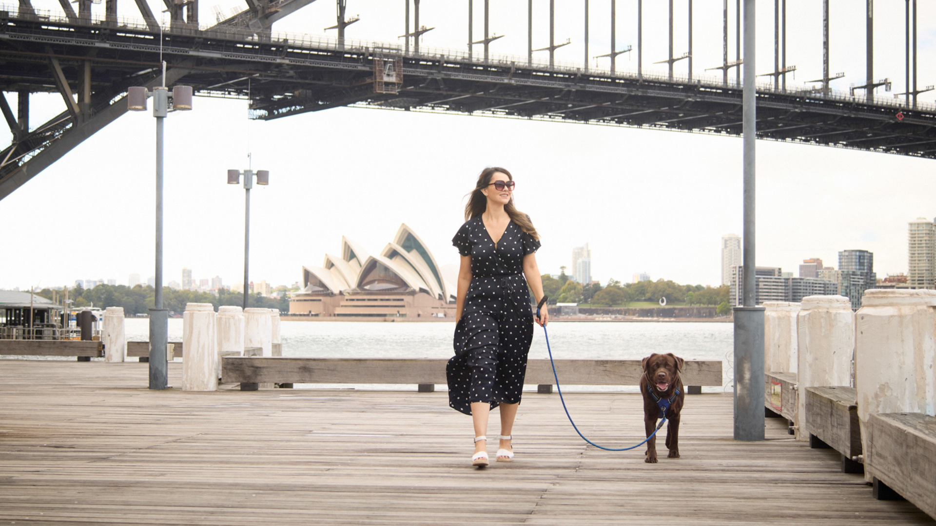 Orthopedic Dog Beds, Dog Clippers, Dog Prams And More By Fur King