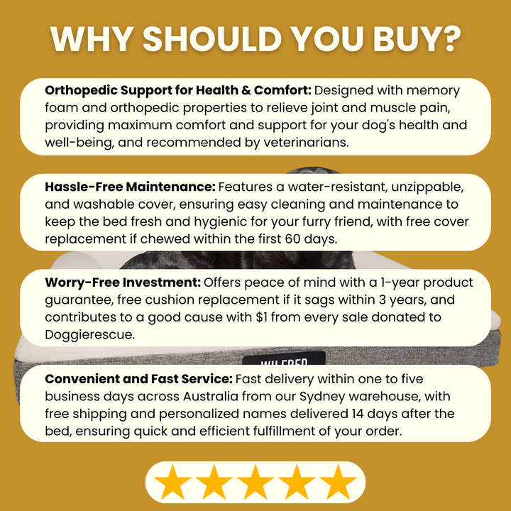 Orthopedic Dog Beds, Dog Clippers, Dog Prams And More By Fur King