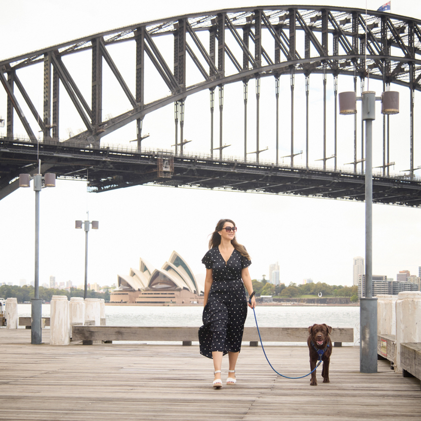 Orthopedic Dog Beds, Dog Clippers, Dog Prams And More By Fur King