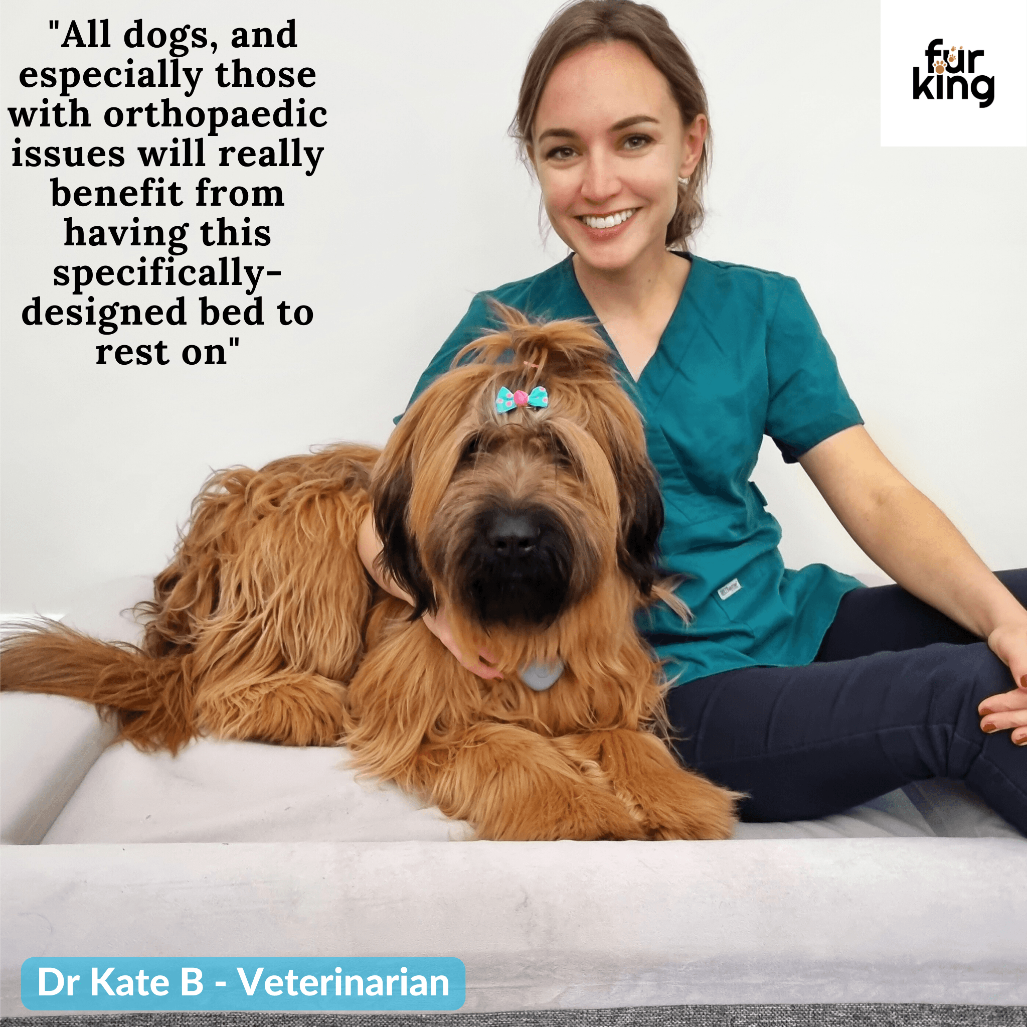 Fur King | Luxury Dog Beds, Harnesses, Dog Clippers And More