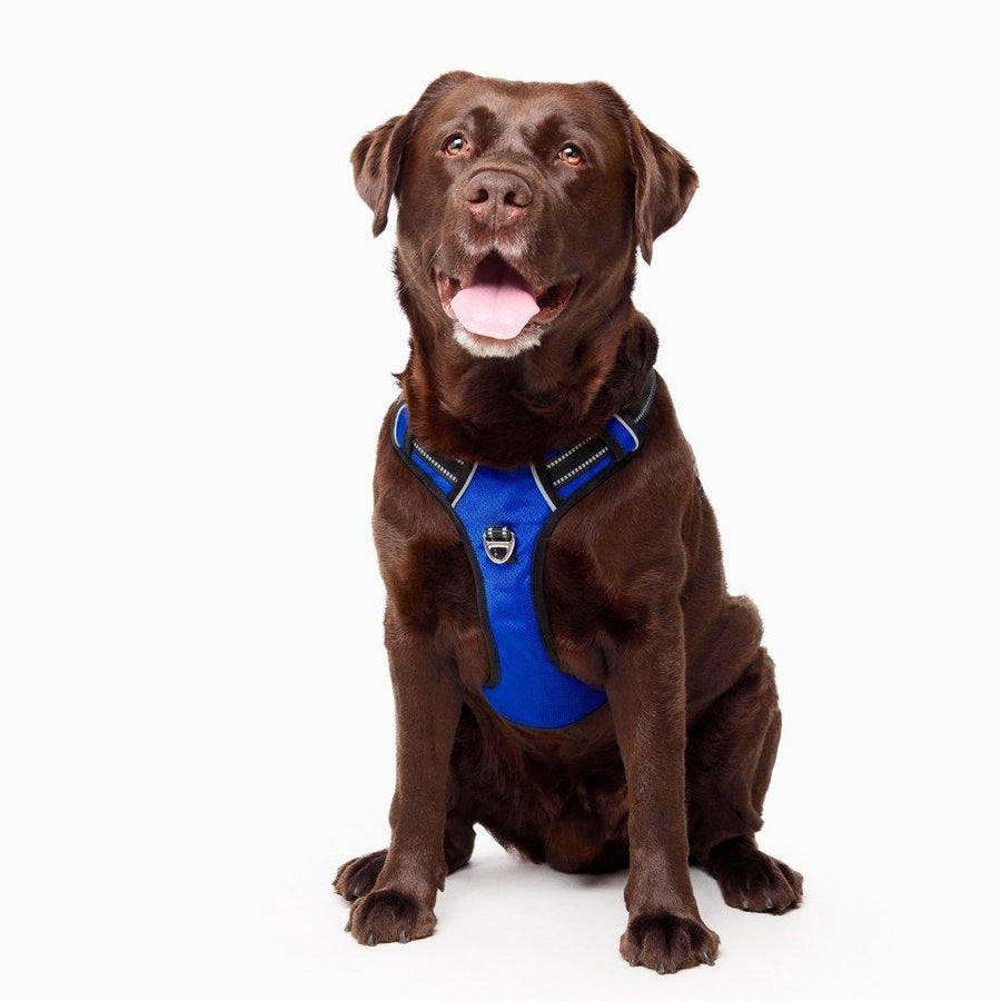 Best No Pull Dog Harness | Fur King Ultimate No Pull Harness | Sizes ...