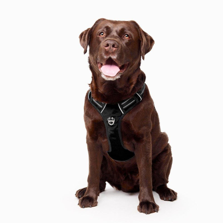 Best No Pull Dog Harness | Fur King Ultimate No Pull Harness | Sizes ...