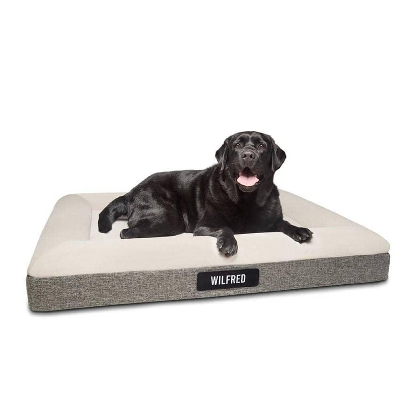 Orthopedic Dog Beds, Dog Clippers, Dog Prams And More By Fur King